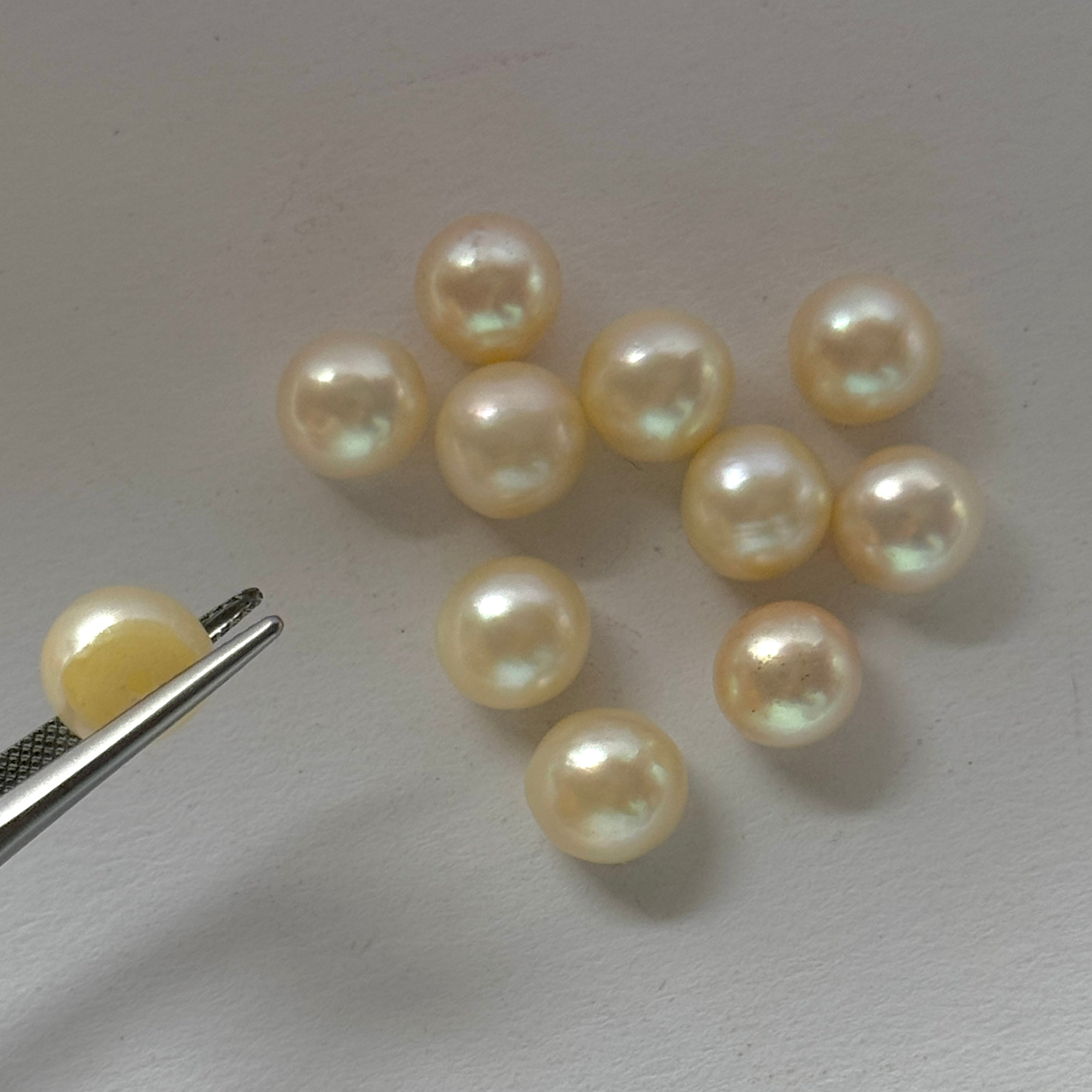 Perle – AB Exim GmbH